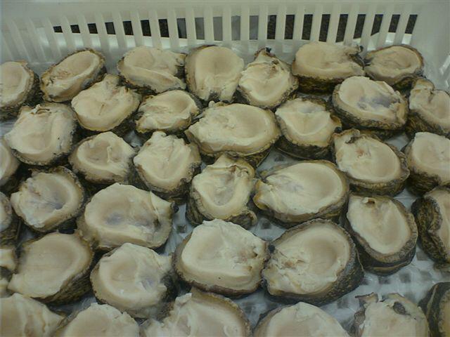 Abalón Chileno (Locos) – Frozen Sea