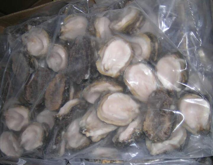 Abalón Chileno (Locos) – Frozen Sea